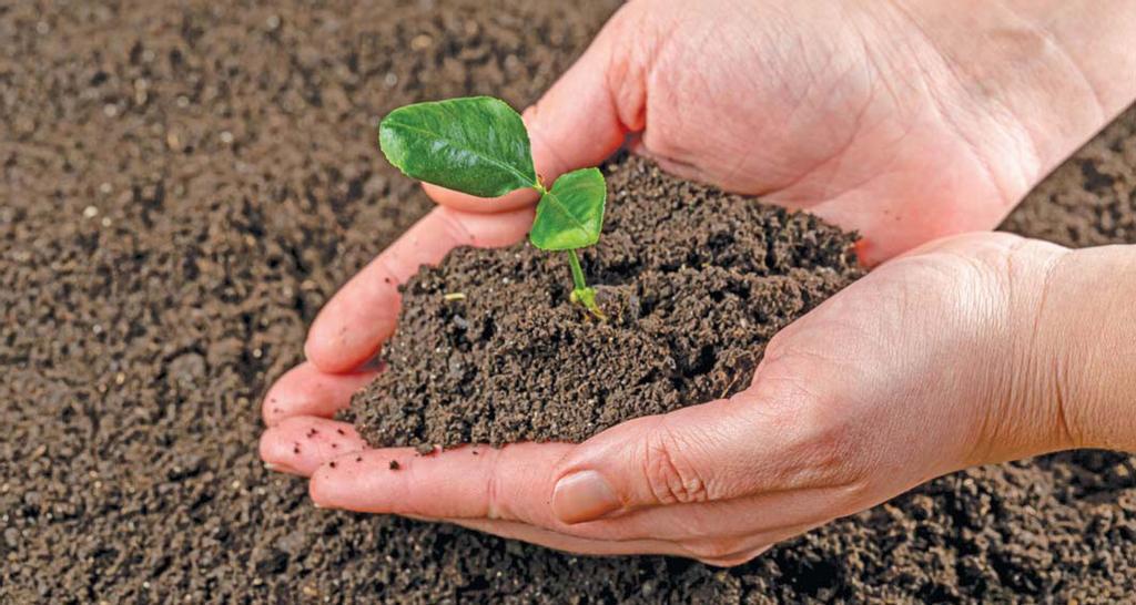How Microbes Boost And Conserve Soil Health - Farmer's Weekly | Everand How Microbes Boost And Conserve Soil Health - Farmer's Weekly | Everand